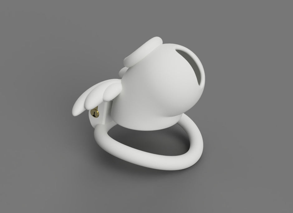 Custom Cages – Cherry Keeper